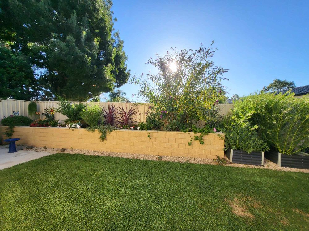 Choosing Plants to Decorate Your Retaining Wall - MyLiving Outdoors